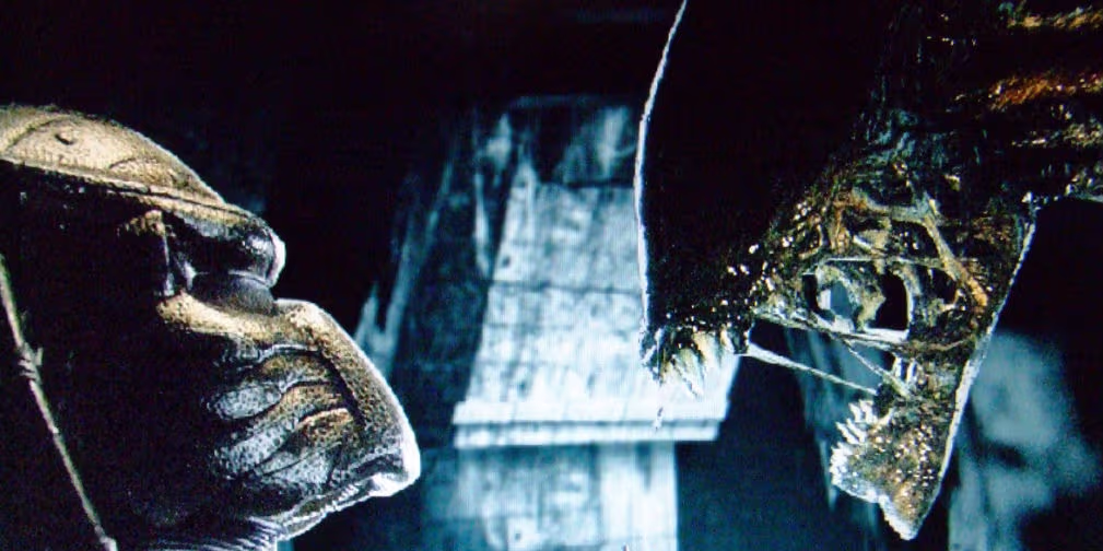 Alien contra Depredador | Canal 5 Home Noticias | Canal5