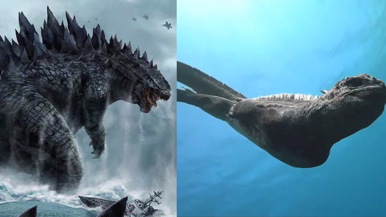 ¿Es real? Captan a ‘Mini Godzilla’ nadando en Islas Galápagos | Shows ...