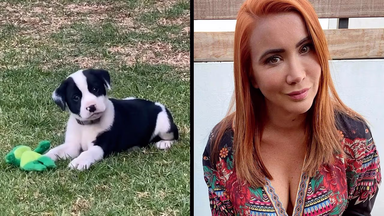 ¿Faisy o Puffis? Mariazel revela el nombre de su cachorro | Shows Canal ...
