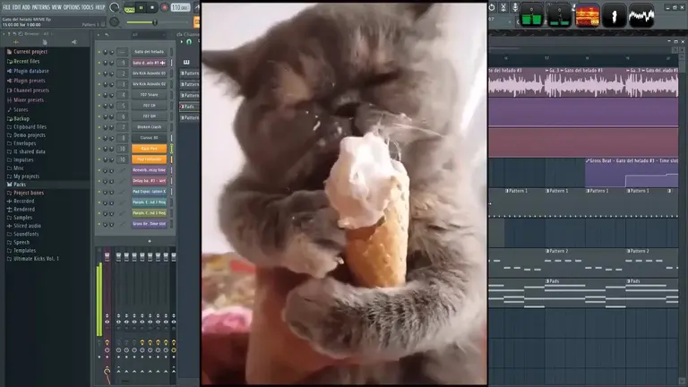 Llegó el "Ice Cream Cat (Remix)", la canción más tierna y prendida que ...