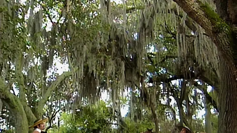 Ramona: Fernando Coronado está empeñado en conquistar a Ramona | Shows ...